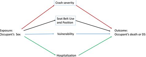 Which Is The Role Of Driver Or Passengers Sex On The Severity Of Road Crashes Heliyon