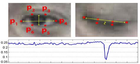 Sample Eye Blink Capturing Image In Respectively Into P1 P6 Facial