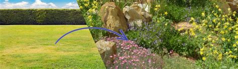 Replace Your Lawn Matrix Gardens Boulder