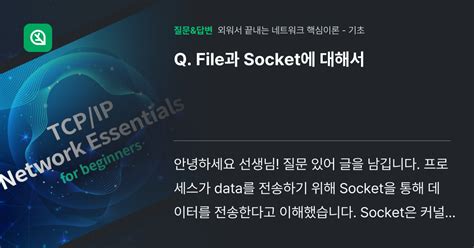 File과 Socket에 대해서 인프런 커뮤니티 질문and답변
