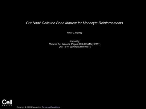 Gut Nod2 Calls The Bone Marrow For Monocyte Reinforcements Ppt Download