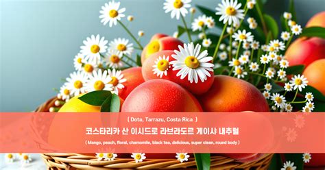 코스타리카 산 이시드로 라브라도르 게이샤 내추럴