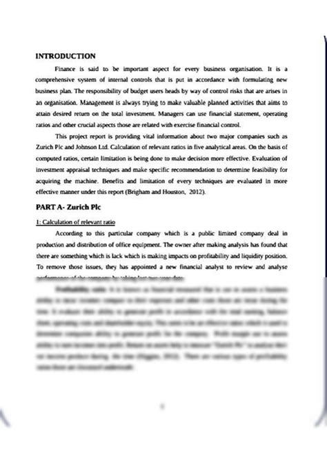 solution report on financial management control calculus analysis