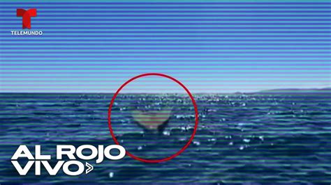 Encuentran Cuerpo De Sirena En 2024