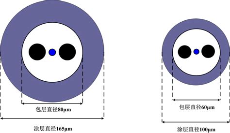 长飞特种光纤系列之二 大模场器件用保偏光纤和60μm细径保偏光纤 讯石光通讯网 做光通讯行业的充电站