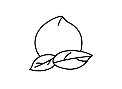 简笔画水果图片大全黑白 简笔画水果图片大全黑白色 画趣文库（我爱生活）