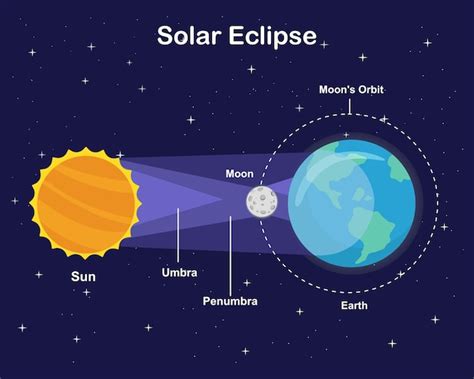 Premium Vector Diagram Showing Solar Eclipse Sun Earth And Moon