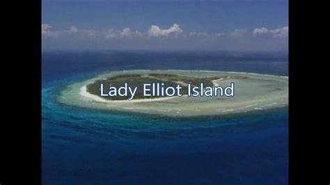 Lady Elliot Island Coastwatch