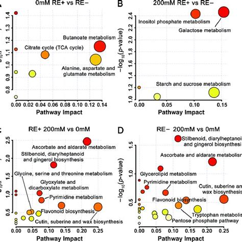 Bubble Plots Showing The Enrichment Analysis Of Altered Metabolic