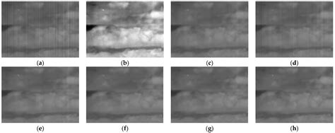 Noise Parameter Estimation Two Stage Network For Single Infrared Dim Small Target Image Destriping