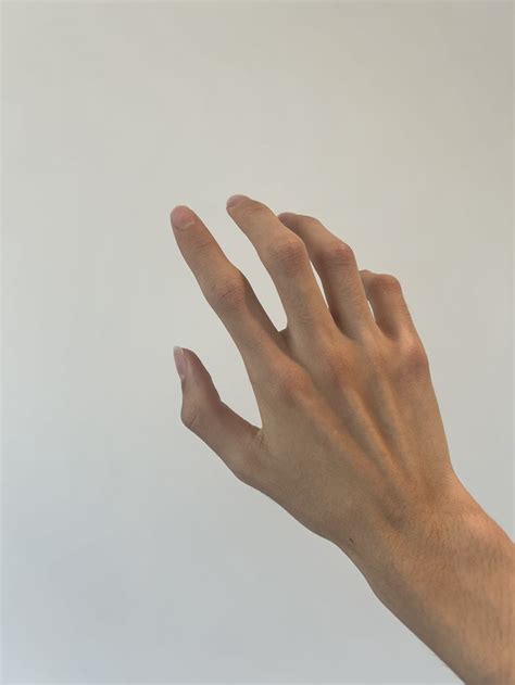 Hands Reference Hand Reference Hand Drawing Reference How To Draw Hands