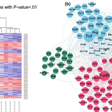A Heatmap Diagram Designed Based On Significant Differential Gene Download Scientific Diagram
