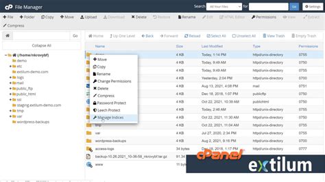 Manage Indices File Manager Cpanel • Extilum Knowledgebase