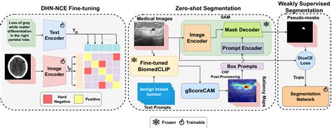 Biomedparse A Biomedical Foundation Model For Image Parsing Of