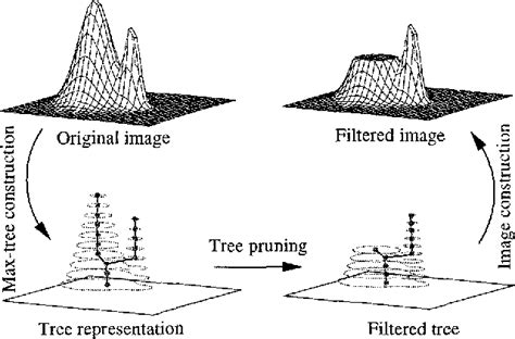 Figure 1 From Robust Motion Estimation Using Connected Operators Semantic Scholar