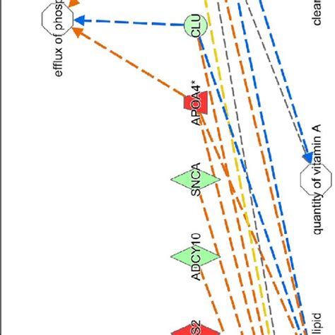 Network Of Interacting Proteins And Modules Of Functionally Related