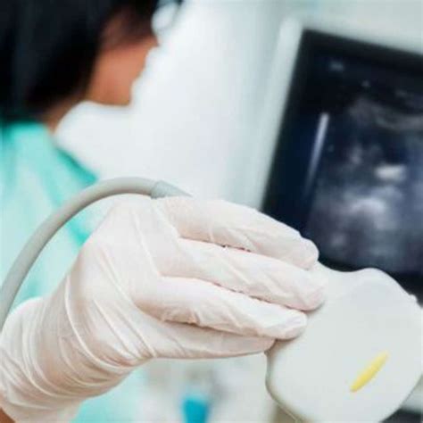 Descobrindo O Sexo Do Bebê Na ª Ultrassom