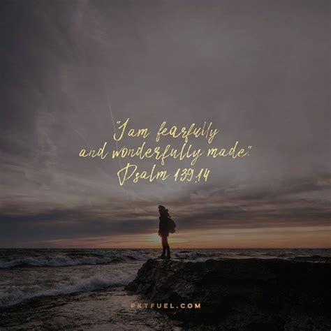 Fearfully And Wonderfully Made PktFuel
