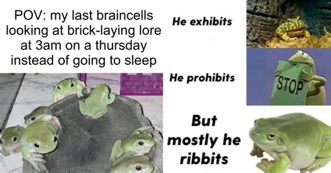 16 Toad Ally Frog Tastic Amphibian Memes For A Hoppin Good Time Animal Comedy Animal Comedy