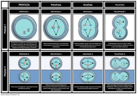Mejoza Storyboard Przez Pl Examples