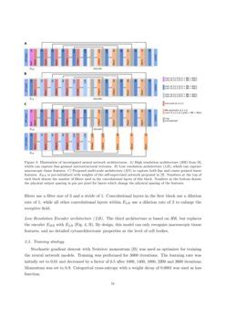 Convolutional Neural Networks For Cytoarchitectonic Brain Mapping At Large Scale DeepAI