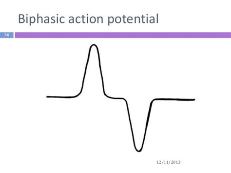 Action Potential Ionic Basis And Recording
