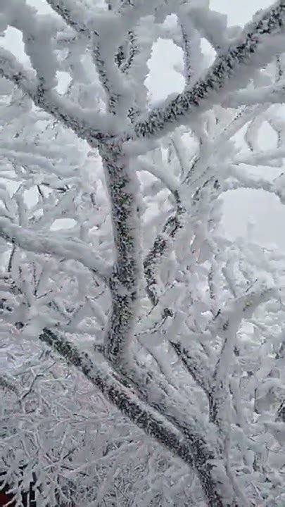 덕유산 향적봉 눈꽃세상 Youtube