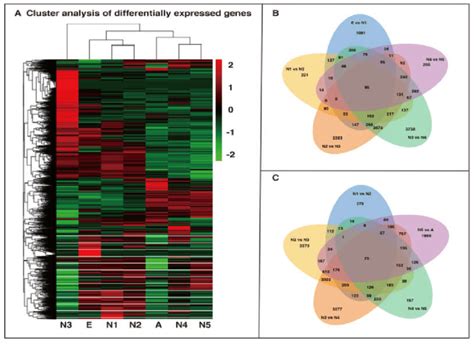 A Heatmap Of Differentially Expressed Genes Degs Among All Unigenes