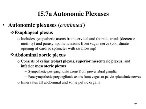 Chapter 15 Autonomic Nervous System Ppt Download