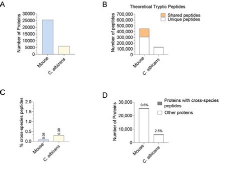 Homology Between Mouse And C Albicans A Number Of Proteins Present