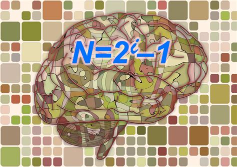 Neuroscientists Say Simple Mathematical Logic Underlies Complex Brain Computations