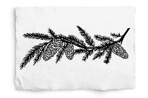 Pine Cone Border SVG And PNG Graphic Graphic By GaborStudioDesign
