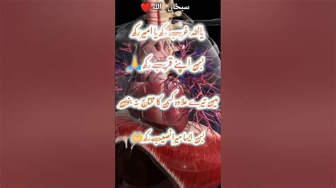 یا اللہ ہم پہ اپنا رحم و کرم فرما Youtube