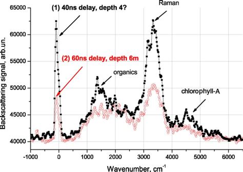 Color Online Typical Echo Signal Of The Rs Lidar At The Simultaneous