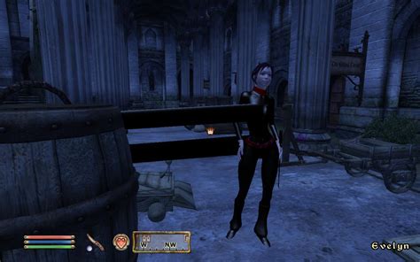 Zazstocks 0 3 Alpha Graphical Errors Please Help Oblivion Adult Mods