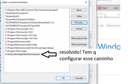 Nodejs Npm Server Não Executado Depois De Ser Instalado Stack