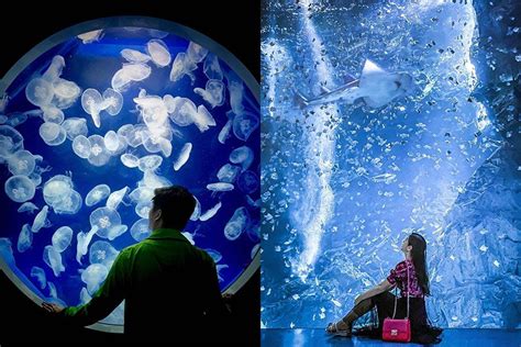 連假不擠花東照樣放空～「桃園3大新景點」水族館x Park、地景藝術節全新感受體驗～｜景點推薦 Yahoo奇摩時尚美妝