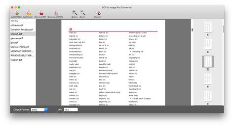 Pdf To Image Batch Converter Pdf Conversion Software