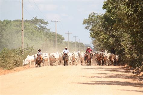 Pantanal Nobres And Chapada Dos Guimarães Gateway Brazil