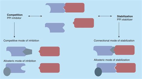 Brief Introduction Of Protein Protein Interaction Ppi Creative