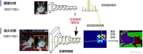 Ai Mmsegmentation Csdn