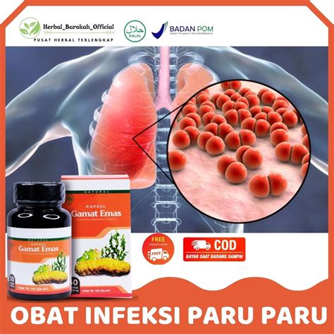 Jual Obat Infeksi Paru Paru Batuk Berdahak Radang Paru Paru Flek