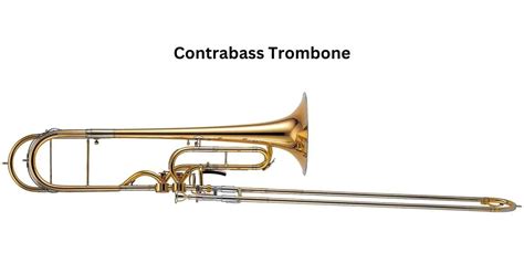 13 Different Types Of Trombones From Top To Unpopular 🎺
