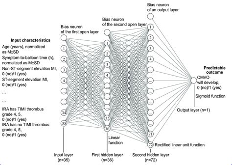 Structural Graph Of A Developed Artificial Neuronal Network N Number