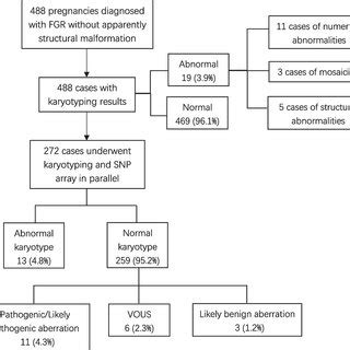 Of Conventional Karyotyping And SNP Array Results VOUS Variants Of