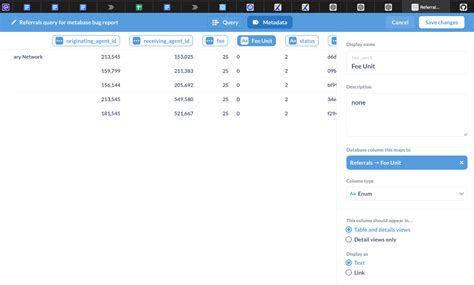 Editing A Model S Metadata Bricks The Question When Mapping To An