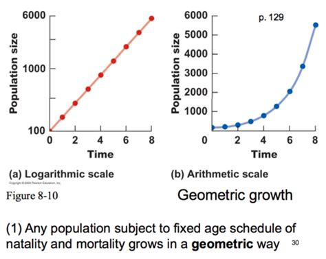 Chapter 12 Population Growth And Regulation Flashcards Quizlet