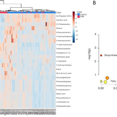 Heatmap And Metabolic Pathway Analysis On Metaboanalyst A The