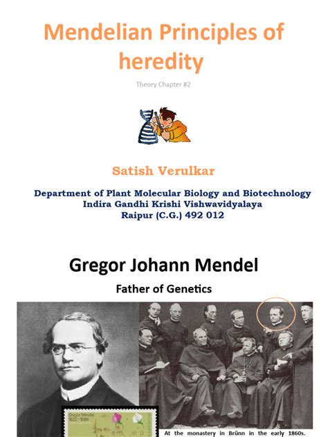 2 Mendelian Principles Of Heredity Download Free Pdf Zygosity Dominance Genetics