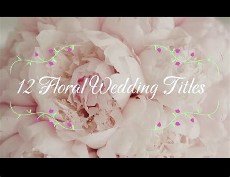 پروژه پریمیر تایتل گلدار کلیپ عروسی Floral Wedding Titles